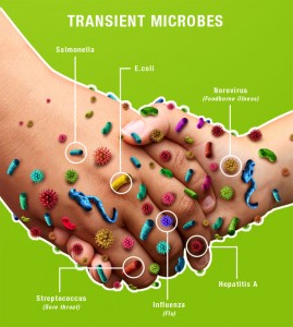 Transient Germs Facts