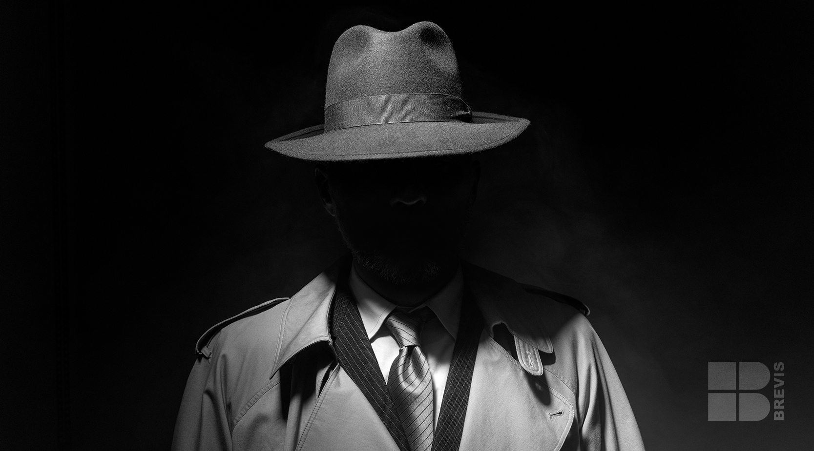 Epidemic Intelligence Service