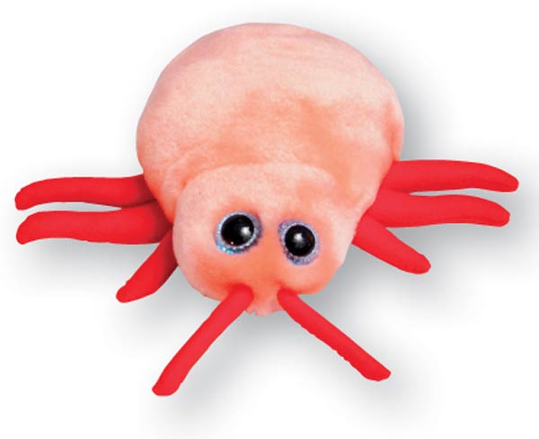 Cimex Lectularius (Bed Bug) Giant Microbe. - Brevis