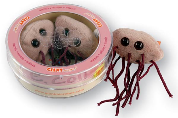 Escherichia Coli Mini Microbes. - Brevis