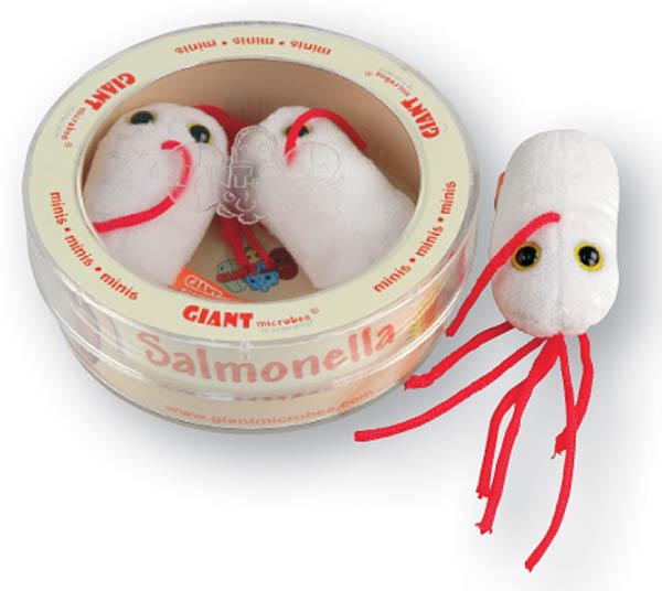 Salmonella MINI MICROBESet of 3 Plush Minis - Brevis