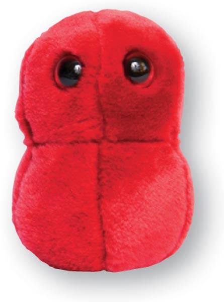 Streptococcus (Sore Throat) Plush Microbe. - Brevis