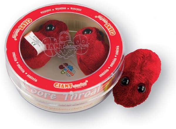 Streptococcus (Sore Throat) Mini Microbe Set - Brevis