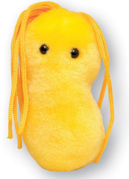 Helicobacter Pylori (Ulcer) Plush Microbe - Brevis