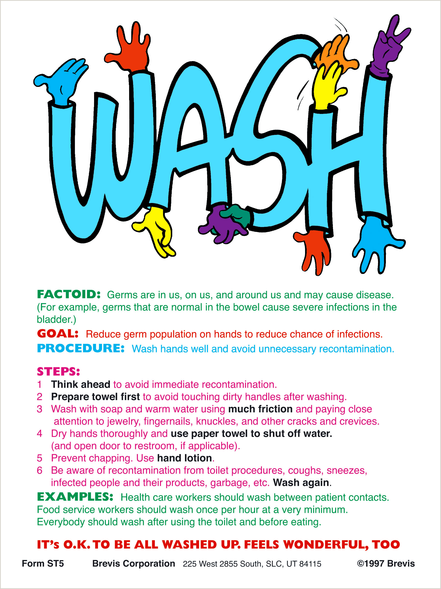 WASH Sticker - Brevis